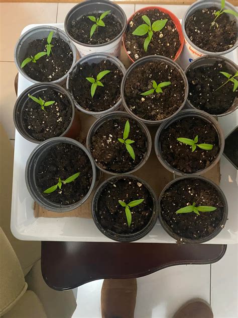 Excel Tax Service Updated Their Cover Excel Tax Service