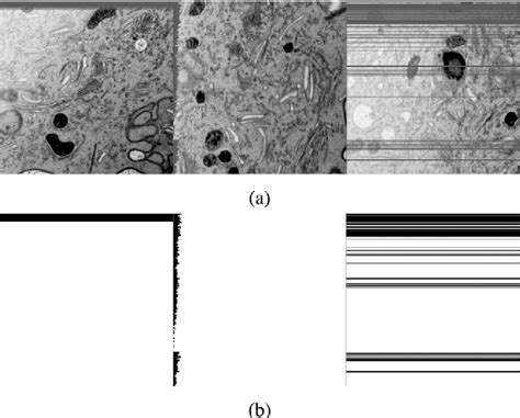 Figure 6 From Automatic Segmentation Of Mitochondria And Endolysosomes In Volumetric Electron