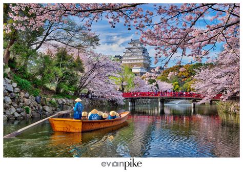 2016 Cherry Blossom Photography Tour Of Japan Himeji Castle Japan