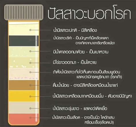 คลินิกหมออุกฤฎเวชกรรมเฉพาะทางโรคระบบทางเดินปัสสาวะ ตรวจรักษาโรคในระบบทางเดินปัสสาวะและโรค