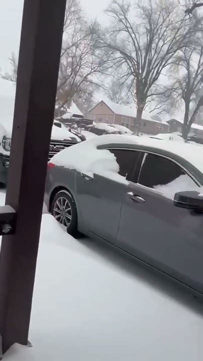 Singer Music Songcover Youtube