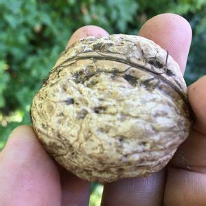 Nerd Show 15 September 2016 By NerdShow Mixcloud