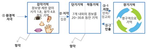 이때 각 기억의 유형별로 기억할 수 있는 정보의 양이 다르며 기억되는 시간이 다르다