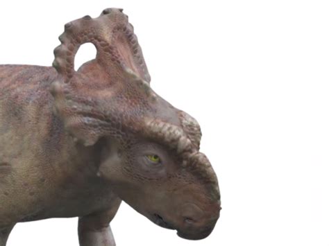 Patchi By Dracoawesomeness On Deviantart Patchi By Dracoawesomeness On Deviantart