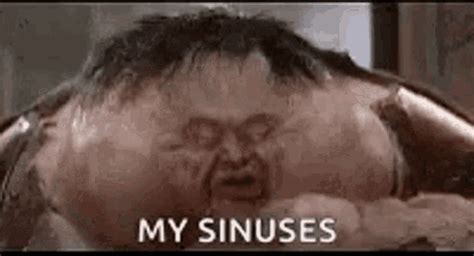 Sinus Pressure Memes Sinus Infections Suck My Journeys Through Life
