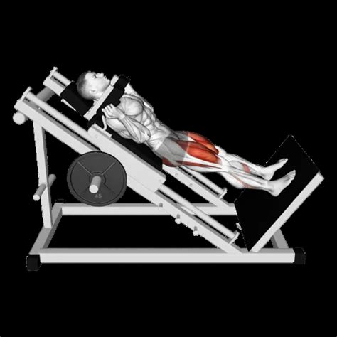 Smith Machine Squat Guide Muscles Worked Tips Athlemove
