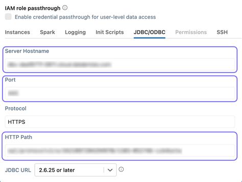 Databricks Hevo Data