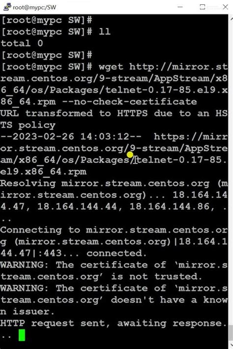 How To Download 🤔 Packages Using Linux Wget Command Rhelcentos