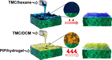 Polar Solvent Induced Spontaneous Nanofoaming For Synthesizing Ultra