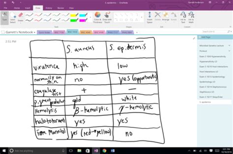 Staphylococci Flashcards Quizlet