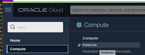 Resolving Oracle Cloud Out Of Capacity” Issue And Getting Free Vps