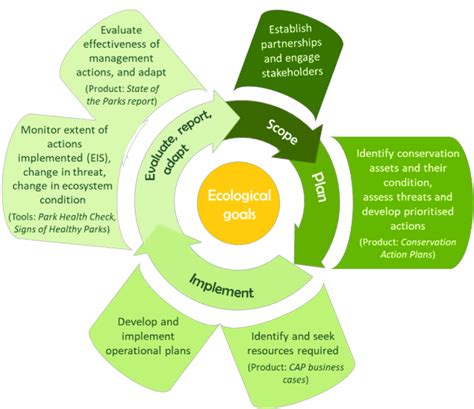 The Adaptive Management Cycle Parks Victoria 274 Download Scientific Diagram