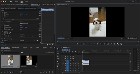 프리미어프로 시퀀스보다 영상크기가 작은 경우 영상을 확대하거나 축소하는 방법
