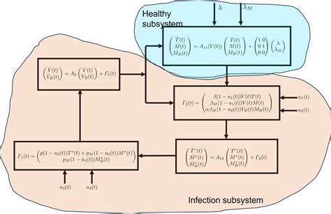 Block Scheme Of The Systems Putting In Evidence The Reciprocal