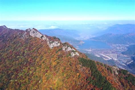 [뉴시스 앵글]최고의 단풍 명소 정읍 내장산 5일~12일 절정 파이낸셜뉴스