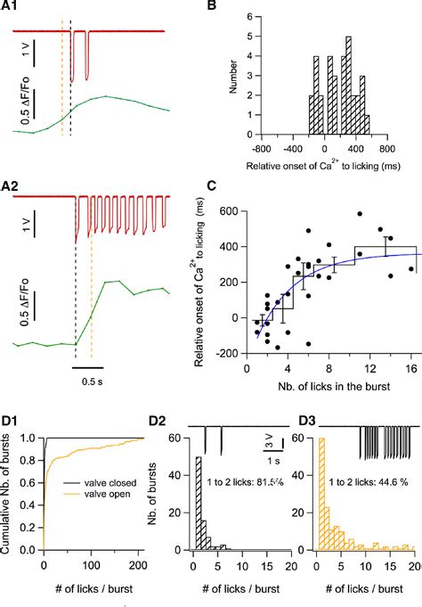 Figure 3 From Concerted Interneuron Activity In The Cerebellar Molecular Layer During Rhythmic