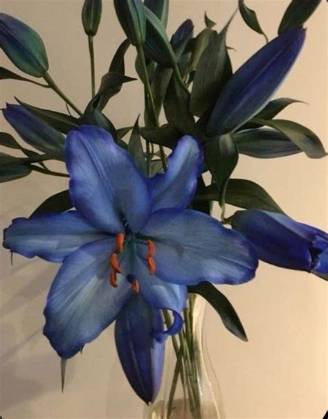 Cinnamn Girl On Tumblr