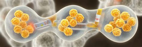 Microscopic View Of Damaged Alveoli Possibly From Vaping Showing