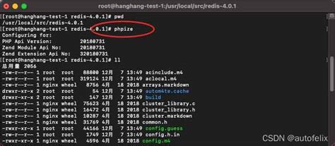 php如何安装redis扩展 编程设计 itguest