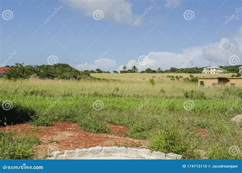 Flat Grassy Landscape
