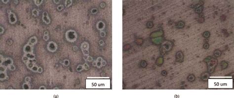 optical micrographs after 1 d exposure to a nacl only solution and