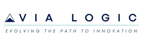 Via Logic Llc Enterprise It Consultants Transforming Digital Ecosystems