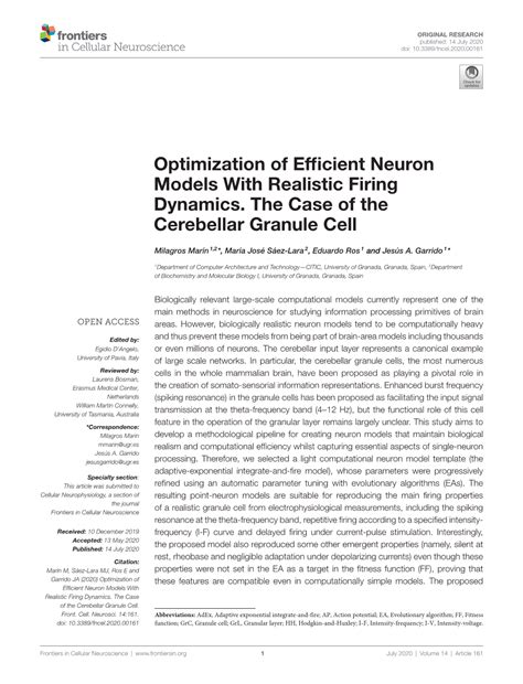 optimization of efficient neuron models with realistic firing dynamics