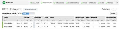 Announcing Nginx Plus R25