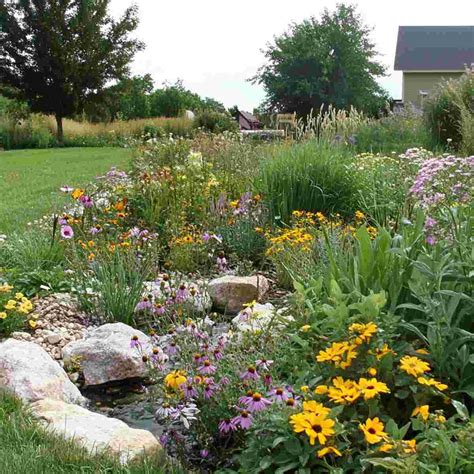 11 Top Rain Garden Ideas For Small And Large Yards