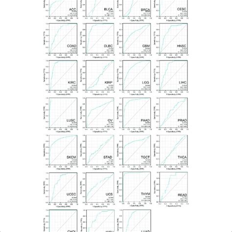 Roc Analysis Showing Predictive Potential Of Slc6a8 In Pan Cancer