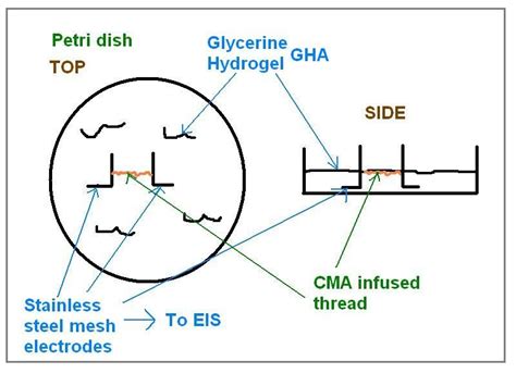 Linear Serial Experiment Setup With Cma Electrode Download