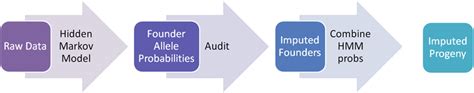Diagram Of Process For Imputing Missing Genotypes We First Construct A