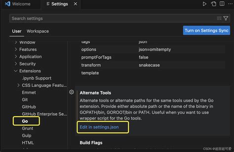 Mac 安装 Go Vscode Ide （完整版）mac Vscode Go Csdn博客
