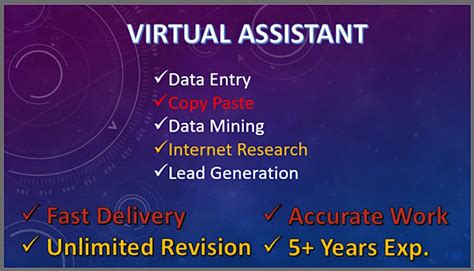 be your virtual assistant for data entry data mining copy paste web