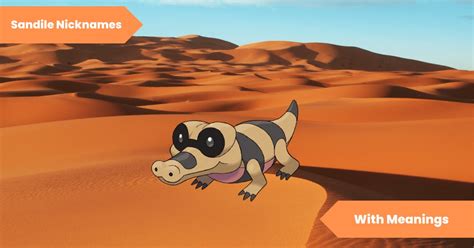 101 Sandile Nicknames Unearth The Gritty Monikers Lets Learn Slang