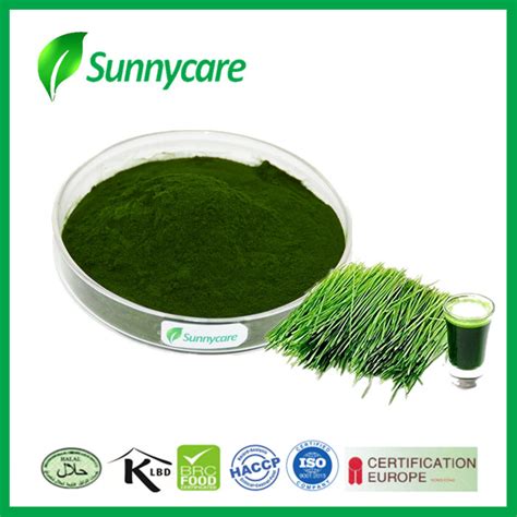 Green Dietary Fiber Supplement Powder Natural Wheat Grass Juice Powder