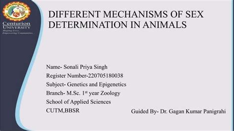220705180038 Genetics And Epigeneticspptx