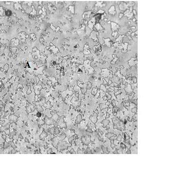 Optical Microstructure Of Alloy With Wt WC Coating A Download Scientific Diagram