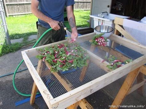 0 4ff90b860e68ce0a (564x423, 177Kb) | Vegetable garden design, Veggie ...