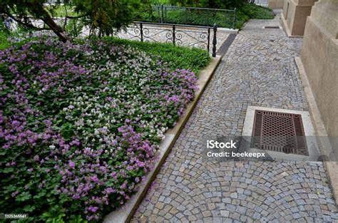 화강암 큐브의 도로에 의해 집 뒤에 그늘진 코너 타일의 금속 환기 그릴은 카펫이나 도어매트와 유사합니다 화이트와 핑크 다년생 0명에 대한 스톡 사진 및 기타 이미지 Istock