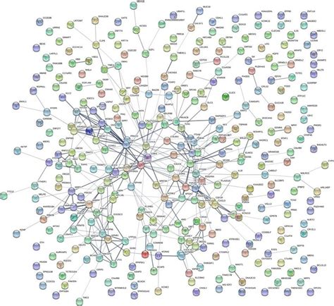Protein Protein Interactions Ppi Network Constructed Using String And Download Scientific