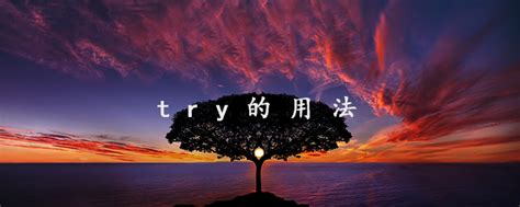 Try的用法 Try的用法