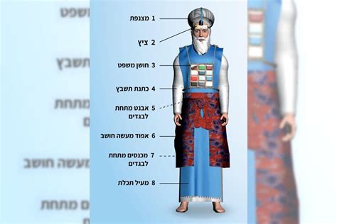 The Purpose Of The Kohanim Parshat Tetzave The Jewish Edition