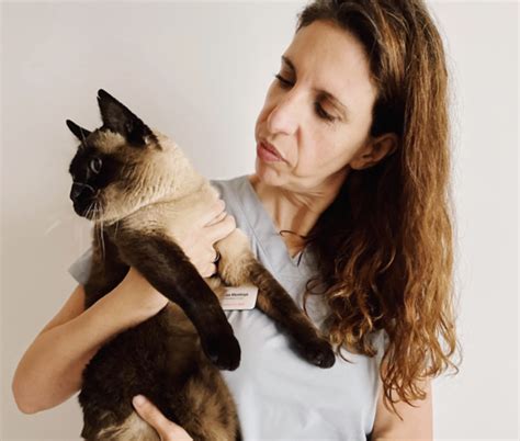 Bel N Montoya Revelar Sus Opciones Cuando El Gato No Se Deja Tocar