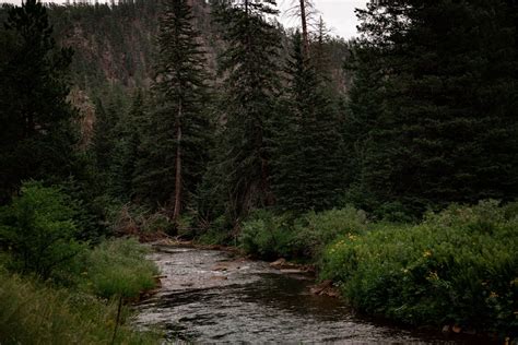 집 밖의 가을 강 개울 건조한 검은 꼬리 프레리 도그 검은 언덕 경치 고속도로 긴 노출 나무 낮 시간