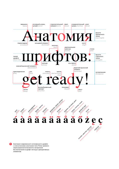 Анатомия шрифтов Learning Graphic Design Graphic Design Lessons Graphic Design Tips