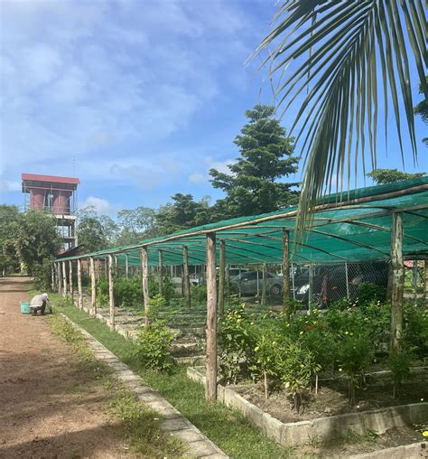 Gallery Of A Model For A Healthier Adaptive Approach To Community