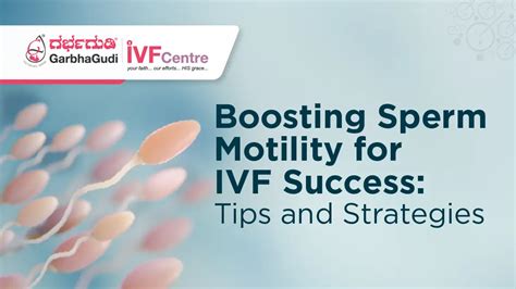 Boosting Sperm Motility For Ivf Success Tips And Strategies