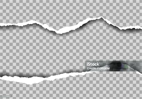 텍스트 공간을 가진 찢어진 종이의 현실적인 그림 투명 한 배경에 고립벡터 찢겨진에 대한 스톡 벡터 아트 및 기타 이미지 찢겨진 찢기 종이 Istock