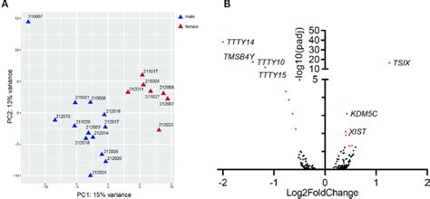 Right Ventricular Outflow Tract Rna Sequencing Data A Unsupervised